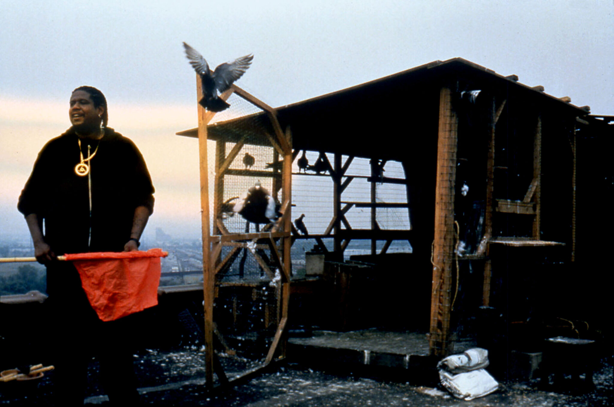 The VCR was killed on purpose | Page 17 | Steve Hoffman Music Forums